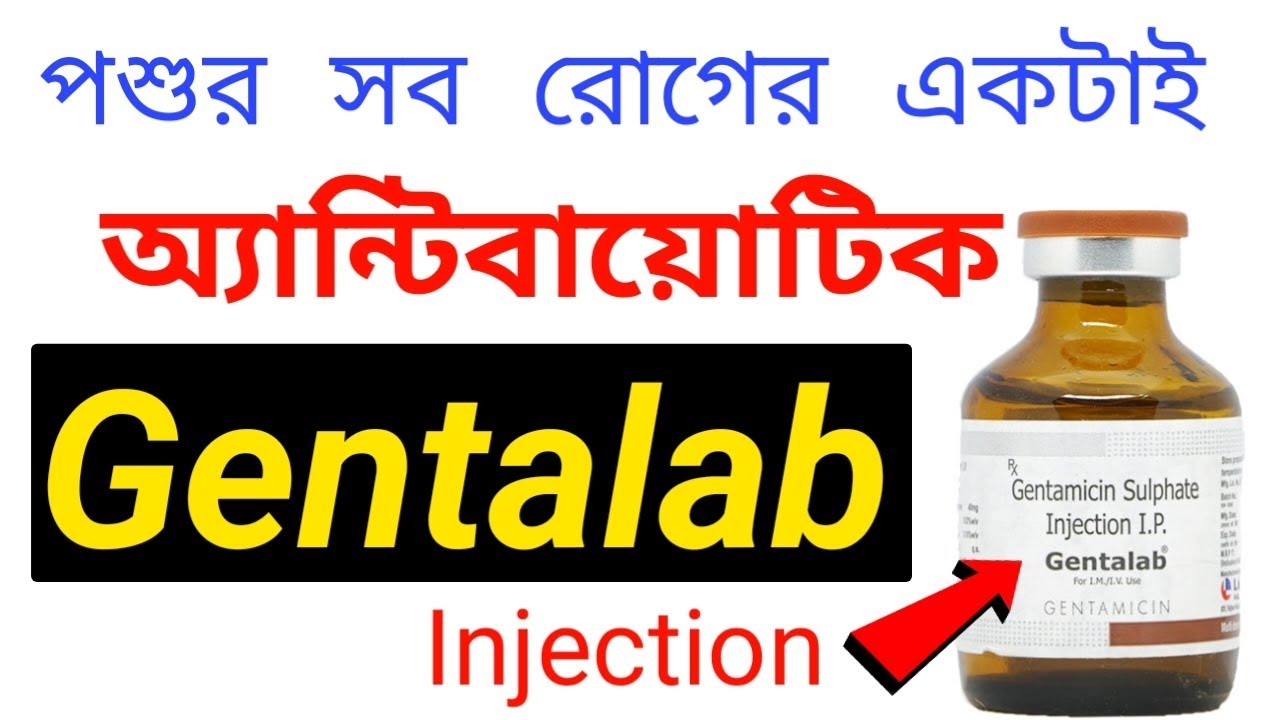 Gentalab Injection use benifits Side-effects in bangla | জেন্টামাইসিন ...
