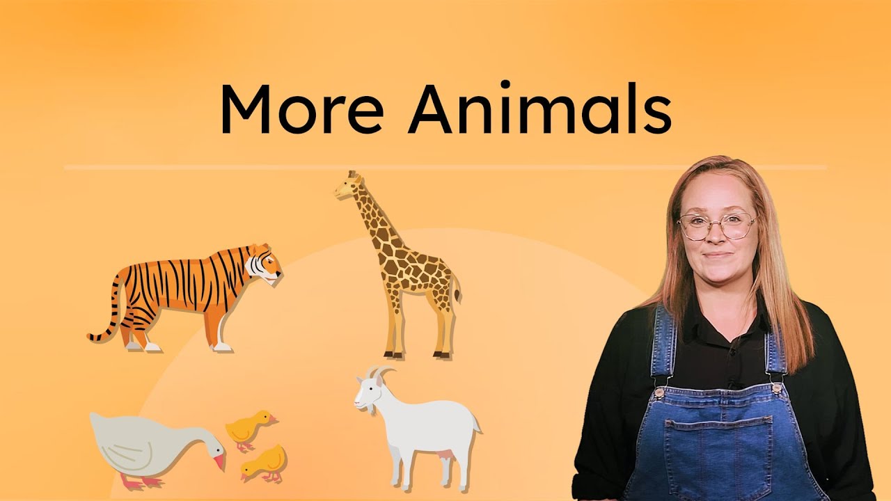 More Animals - American Sign Language for Kids! - YouTube