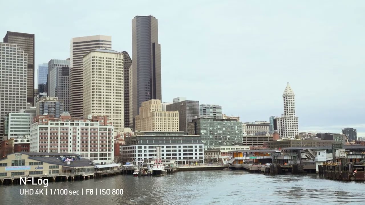Sample Footage of the Nikon Zf | DPReview Video Tests