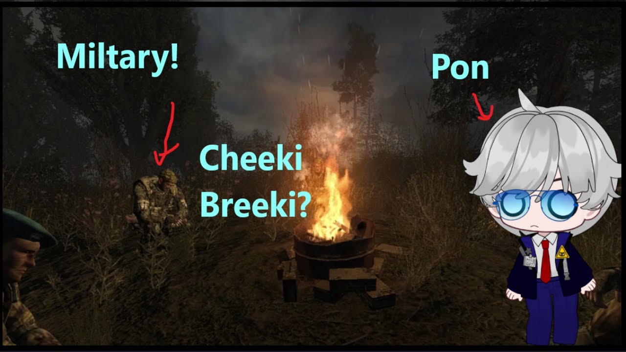 (Stalker:CoS) Wish Granter? - YouTube