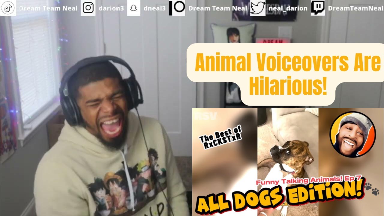 Hilarious Animal Voiceovers: Laugh Until You Cry! - YouTube