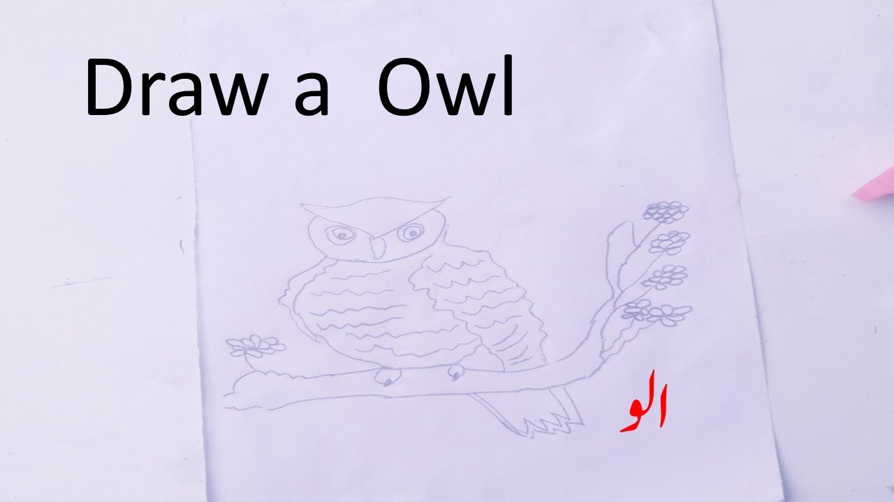 How To Draw a owl birds kids very simple with a Farhana Arts master ...