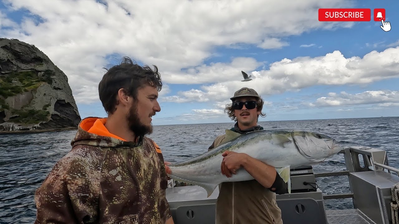Big Kingfish on Live Kahawhai and Encounter with Whales. Tough Days ...