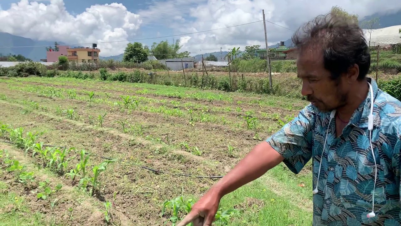 Multi layer Farming, Tokha Project - YouTube