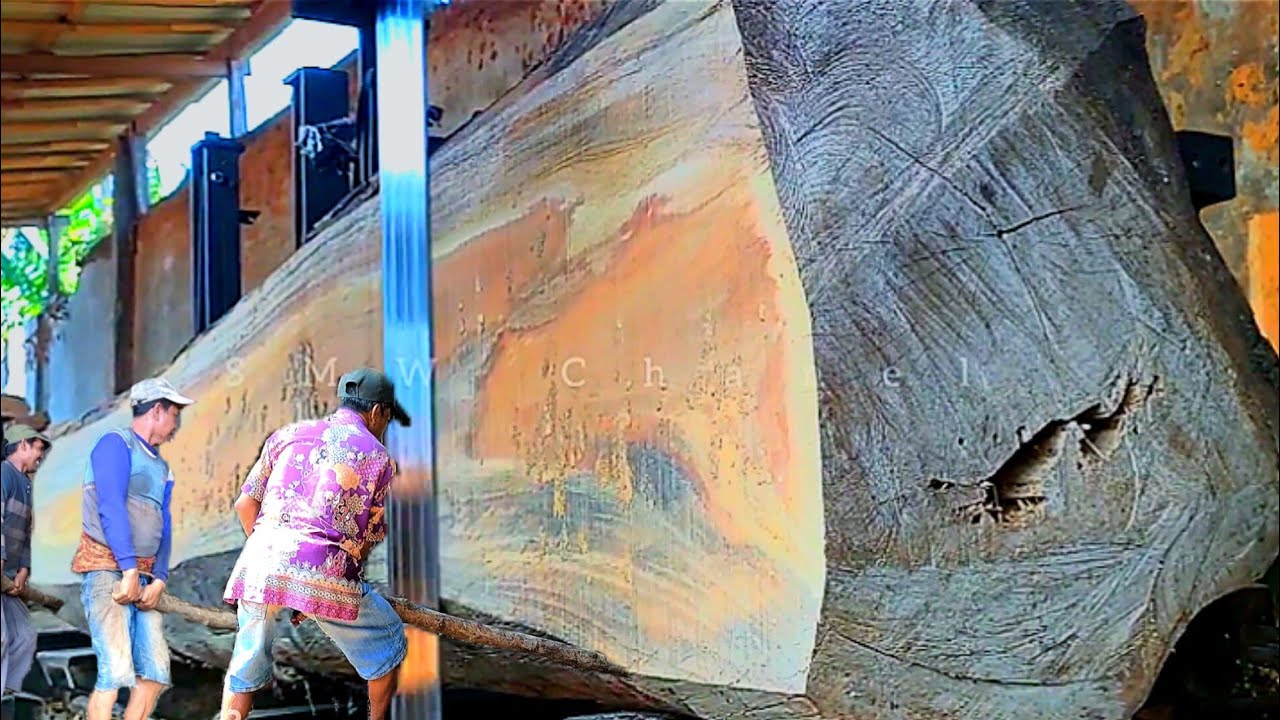 Woodworking, Sawing The Softest Large Logs Like Apples In Sawmill - YouTube