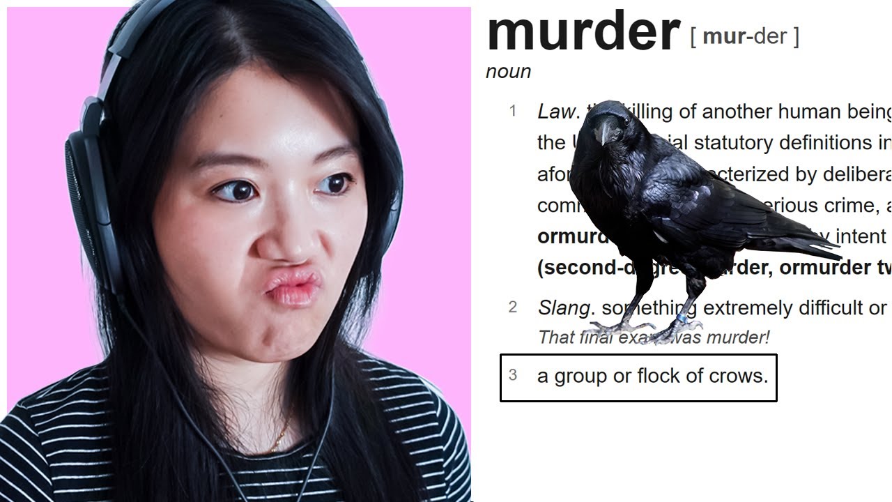 The American Education System Has Failed Me funny YouTube the-american-education-system-has-failed-me-funny-youtube