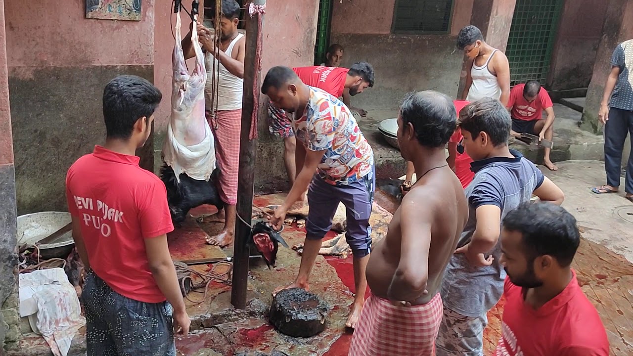 Kalighat patha Bali - YouTube