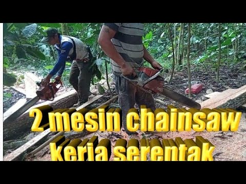 skill memotong dan membelah kayu yang luar biasa ‼️ menggunakan 2 mesin ...