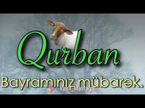 Vasif Mastagalı Qurban Bayramına aid meyxana