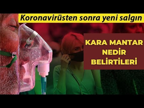 KARA MANTAR (MUKORMİKOZ) NEDİR? BELİRTİLERİ NELERDİR?