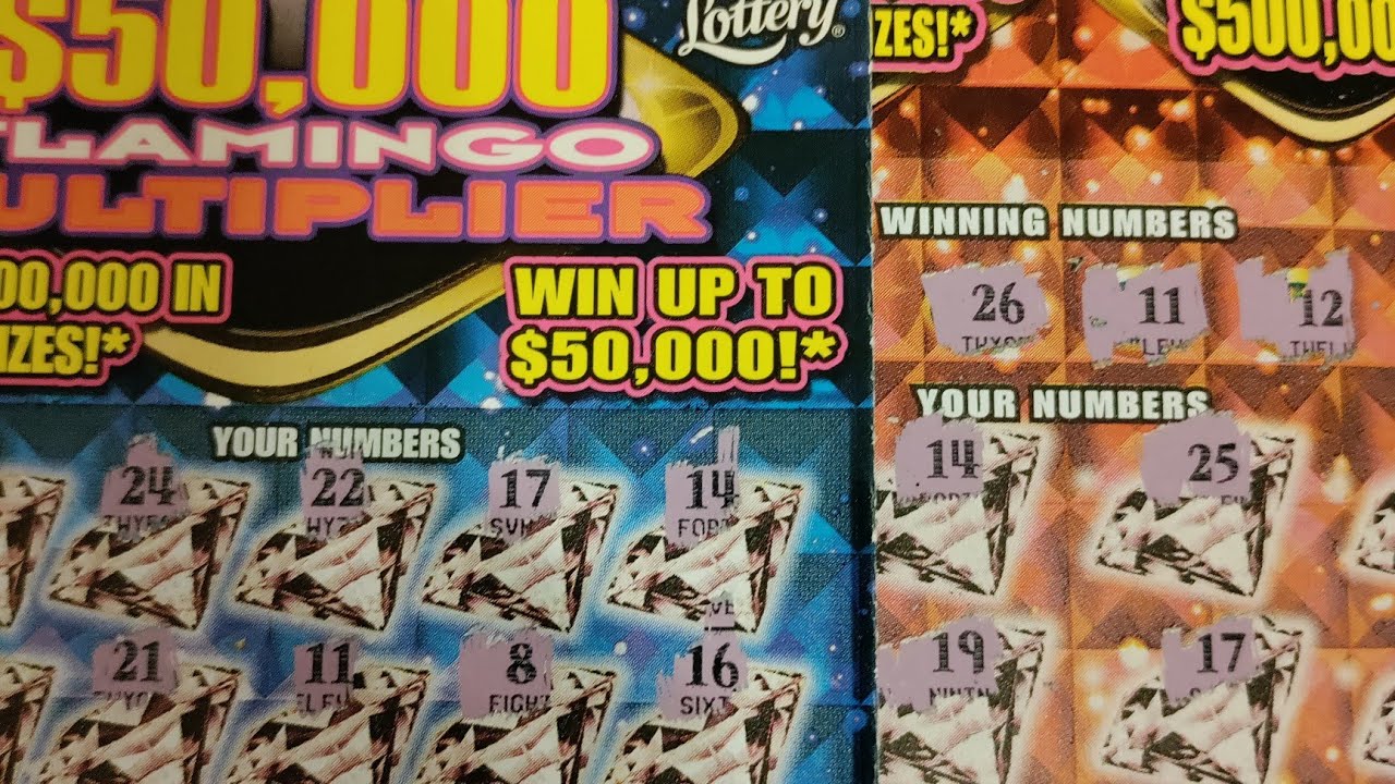 flamingo multiplier vs flamingo multiplier 😂😆 Florida lottery let's see ...