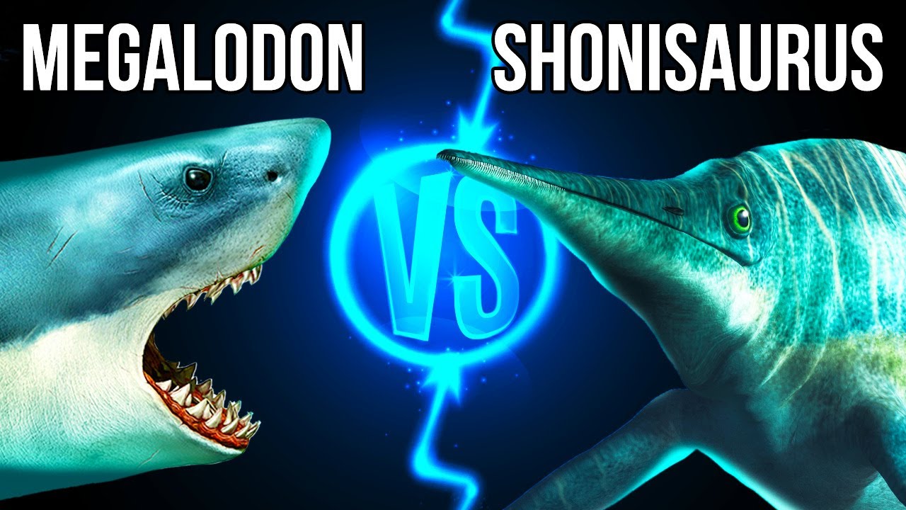 Megalodon vs Dinosaurus Laut Terbesar dalam Pertarungan Paling Brutal ...