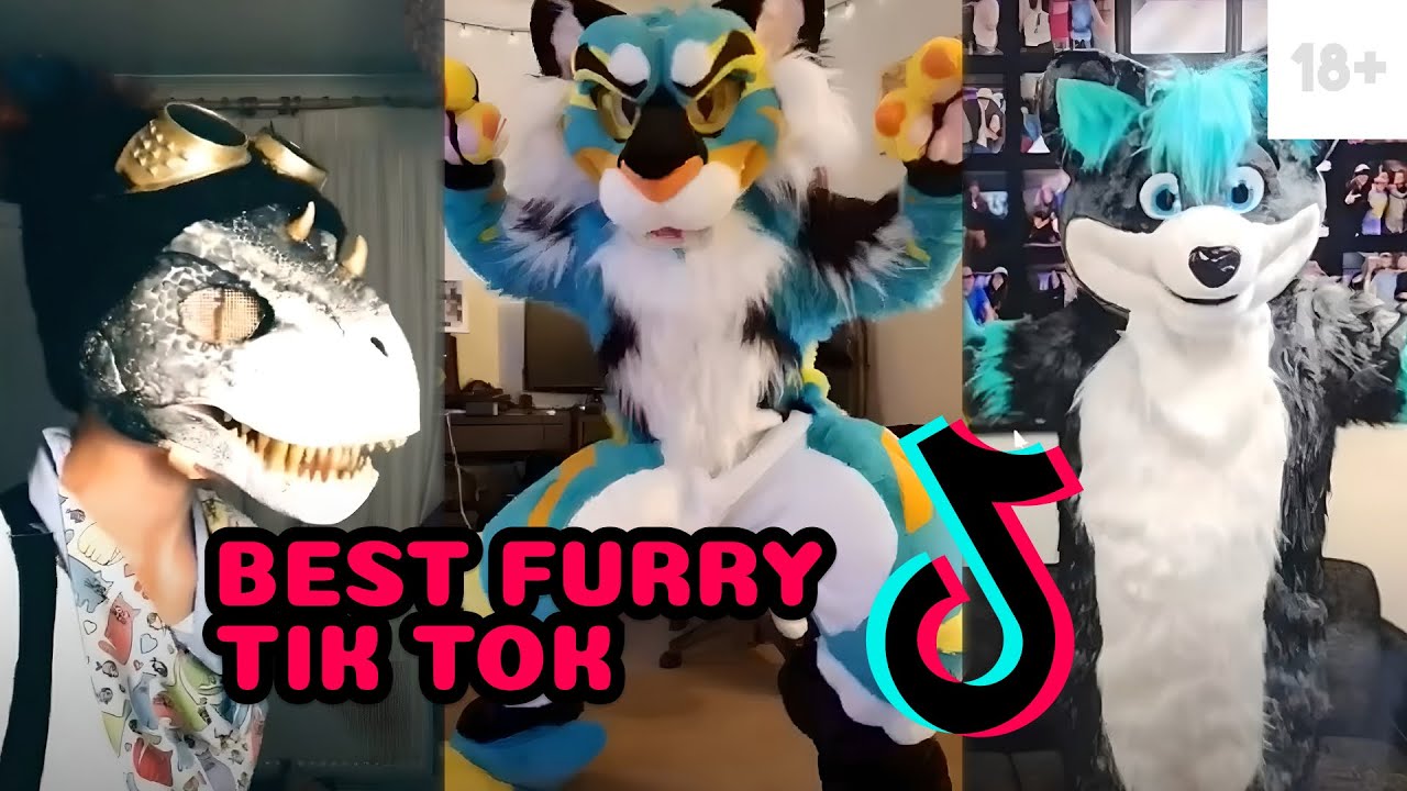 Best Furry TikToks 🐯 Fursuit TikToks Compilation [ Ep 079 ] - YouTube