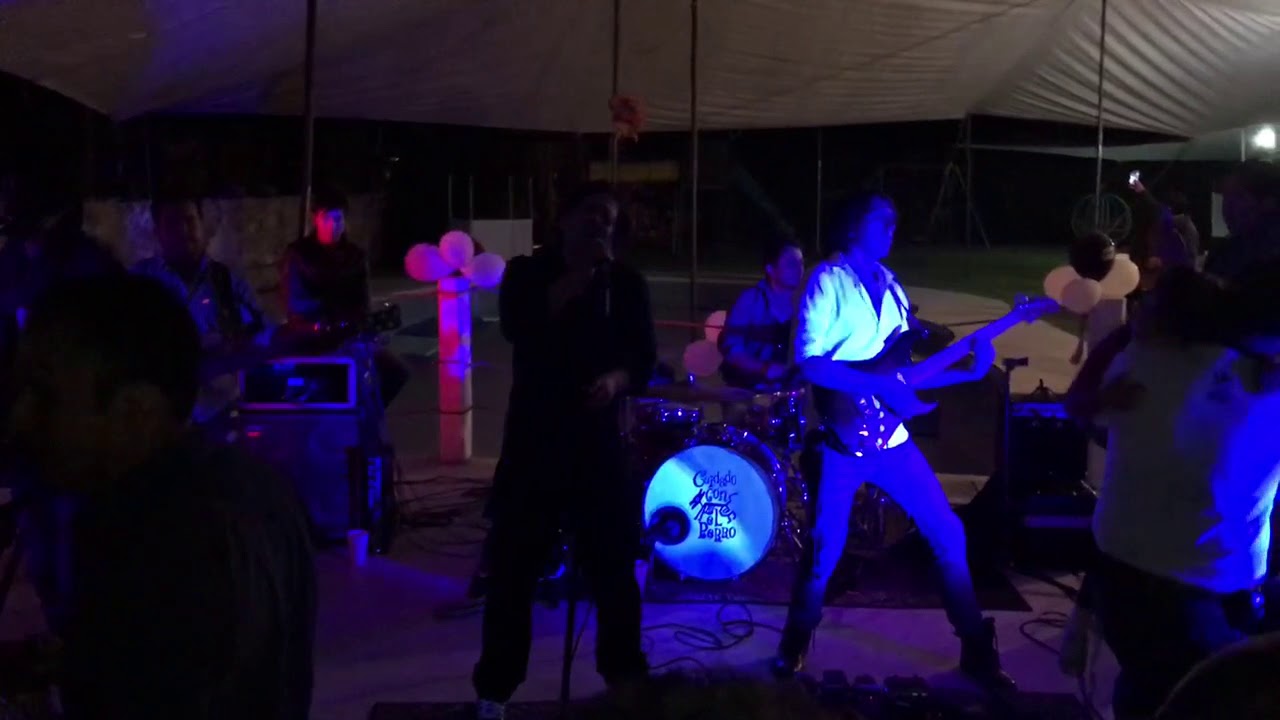 Cuidado con el perro, banda de rock - YouTube