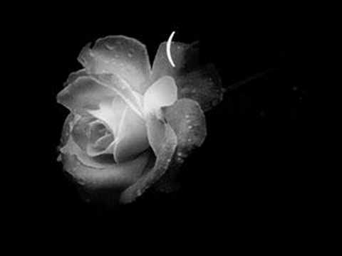 RAKKAS ( MUSTAFA CECELİ ) SÜPER ----- (( BLAME ))