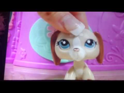 LPS Review: PuppyLover 863's "10 Things I Hate About Doctor's Offices ...