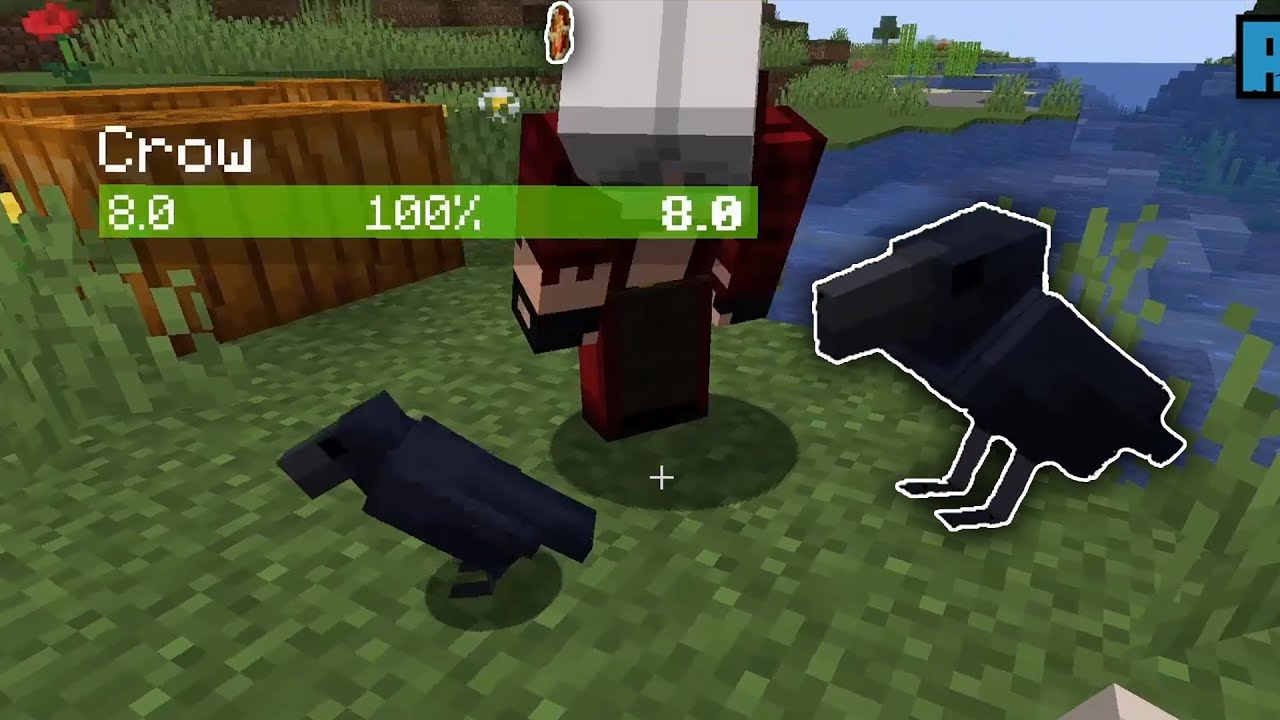Finding a Crow in Alex's Mobs - YouTube