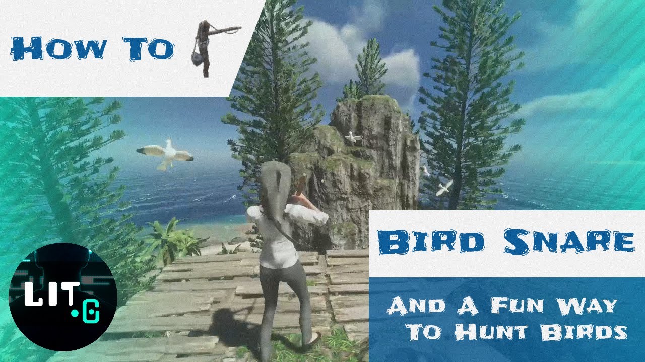 What Is The Best Way To Hunt? | Catch Birds Fast | How To Use The Bird ...