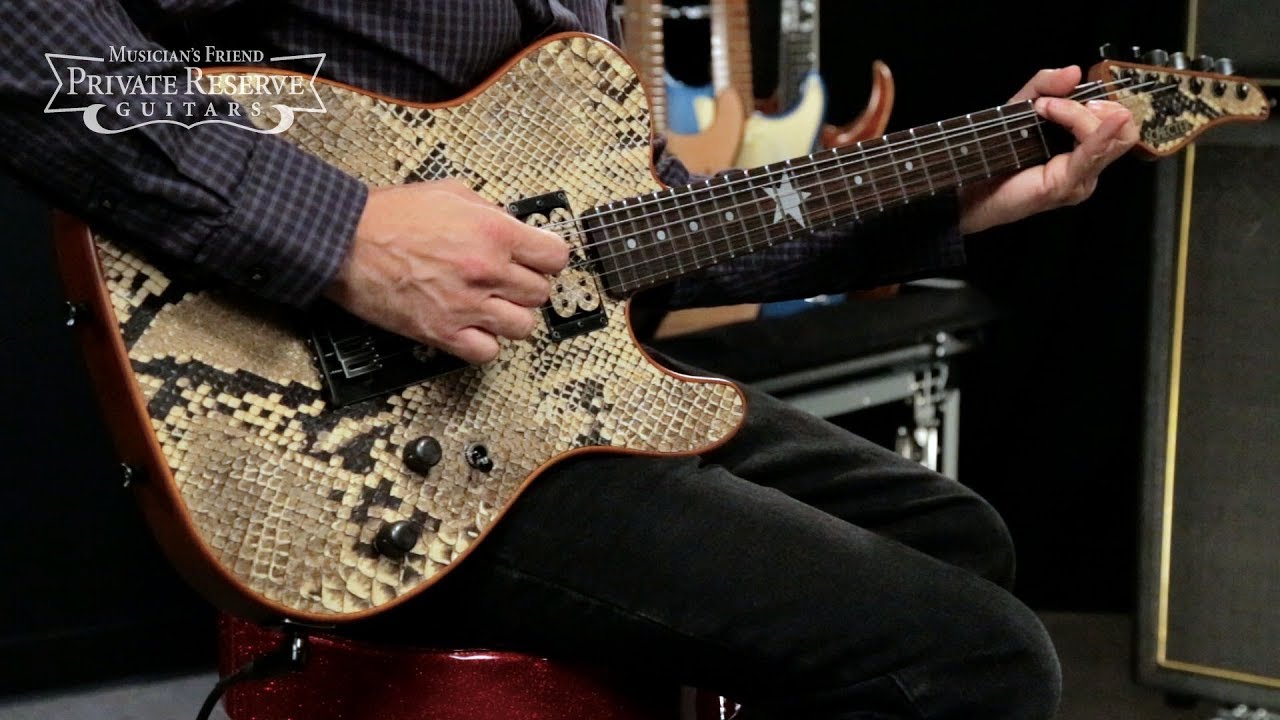 Schecter Guitar Research PT Snakeskin Electric Guitar - YouTube