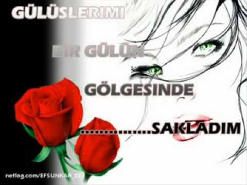 negri dilemın (theliselicrazy)