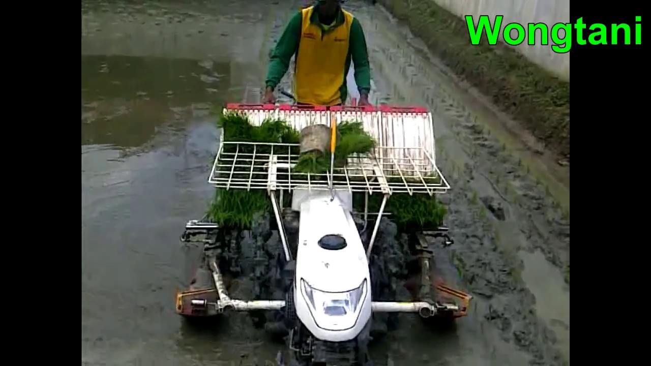 Menanam Padi Menggunakan Mesin Tanam Padi Rice Transplanter - YouTube