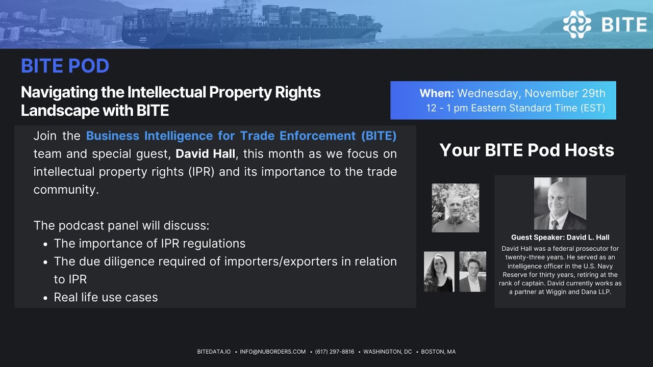 Navigating the Intellectual Property Rights Landscape with BITE - YouTube