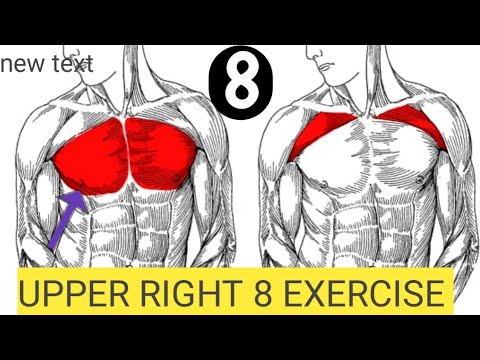 chest 8 exercise || muscle target exercise for gym - YouTube