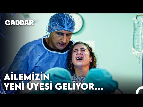 Pardon Biz Doğuruyoruz, Nereye Doğuralım? - Gaddar