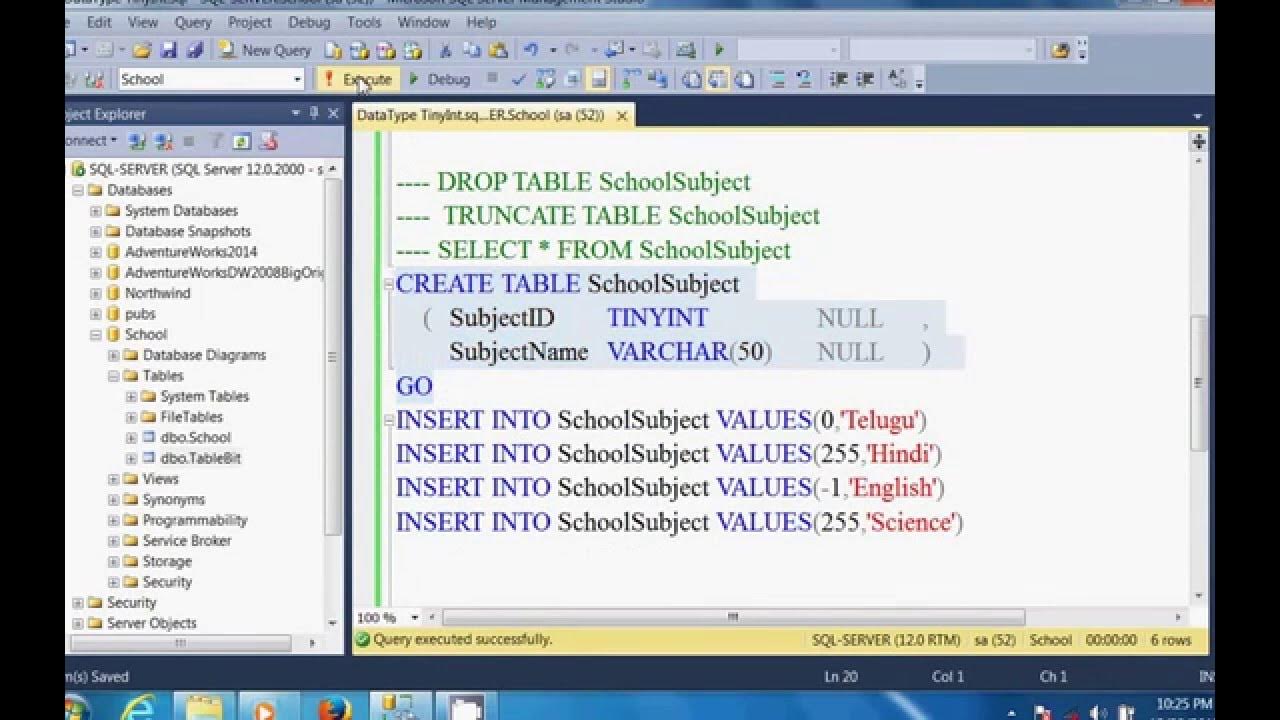 SQL Server In Telugu DataType TinyInt - YouTube