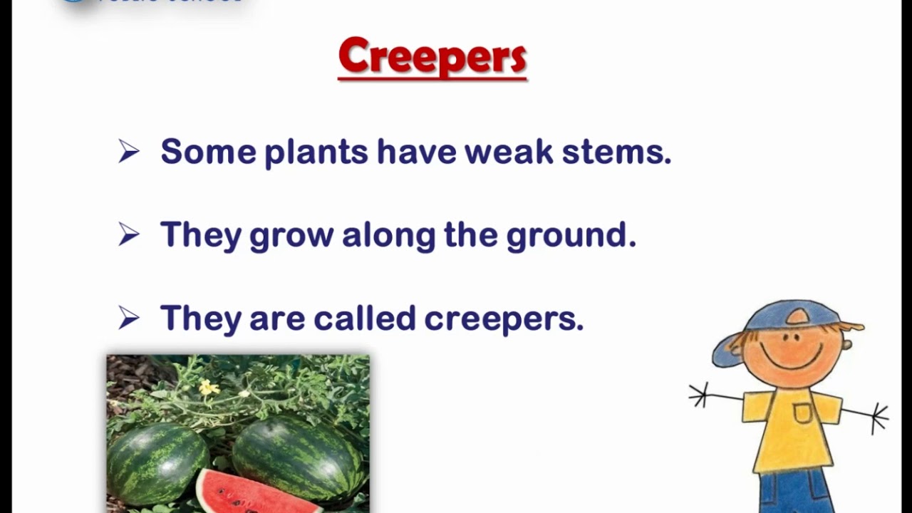 CLASS 2 SCIENCE - YouTube