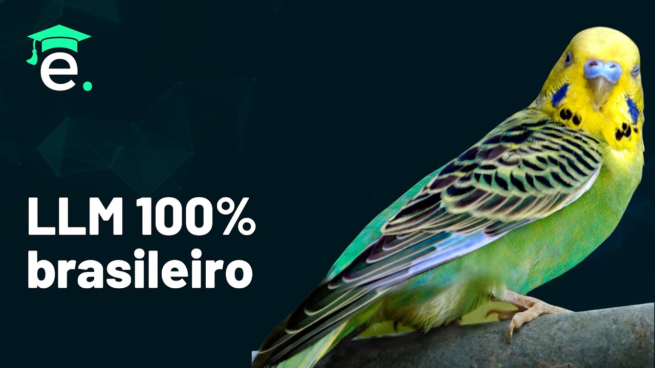 Testando o LLM brasileiro da Maritaca AI #generativeai #ai #maritaca ...