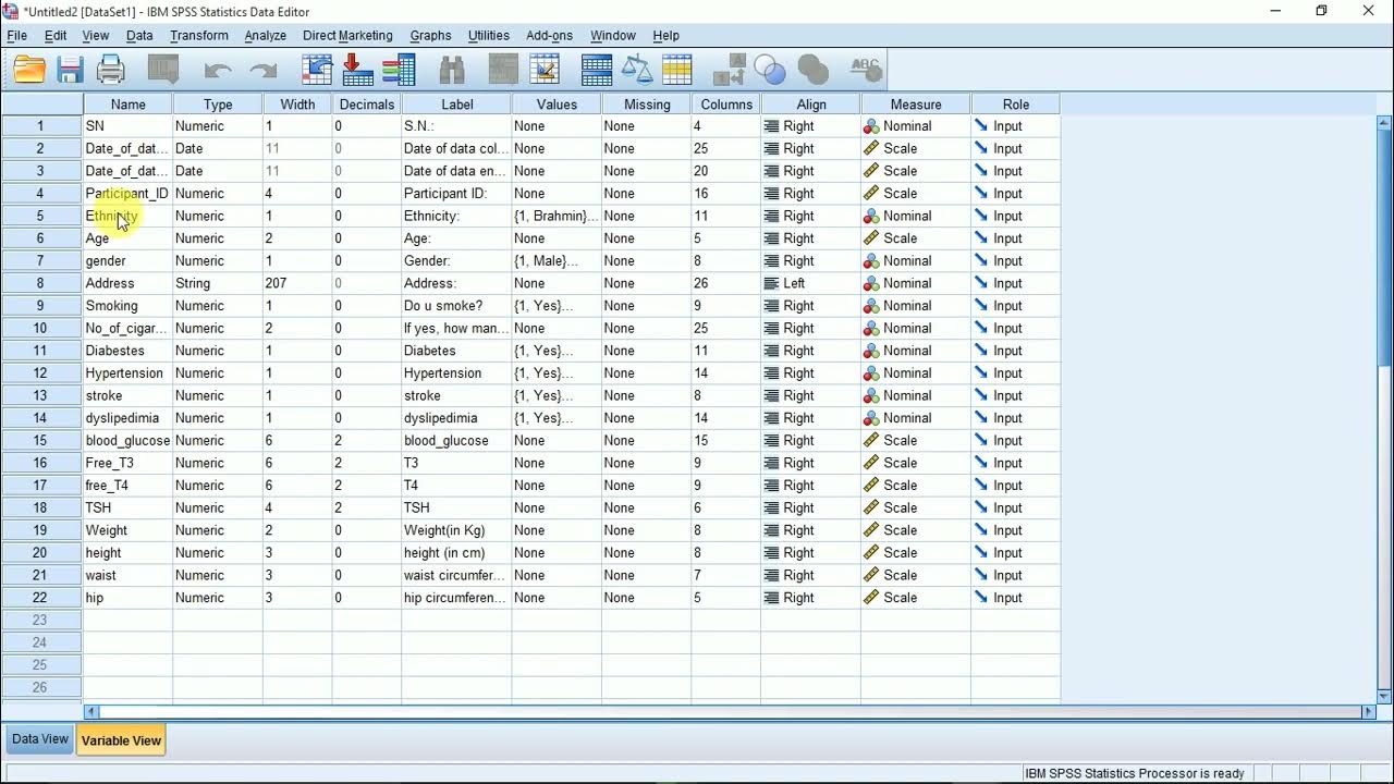 How to export data from epidata manager to SPSS, excel and stata1 - YouTube