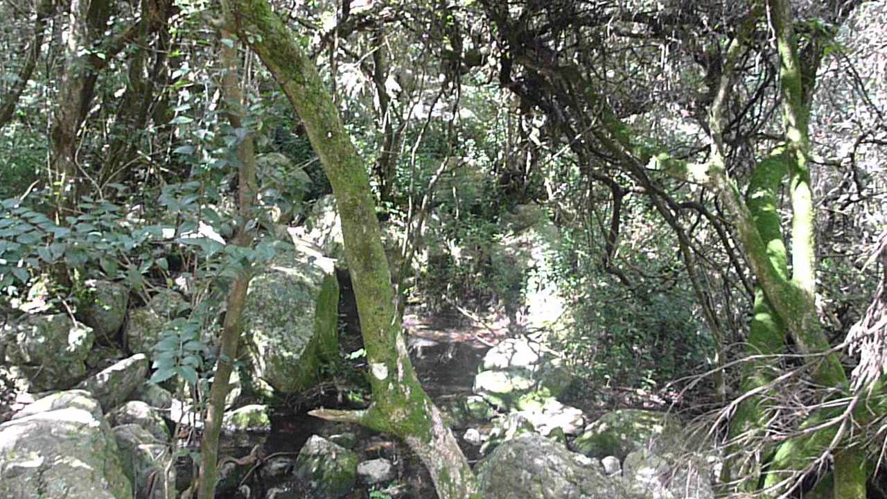 Paseo Cerro de las animas (lagos) - YouTube