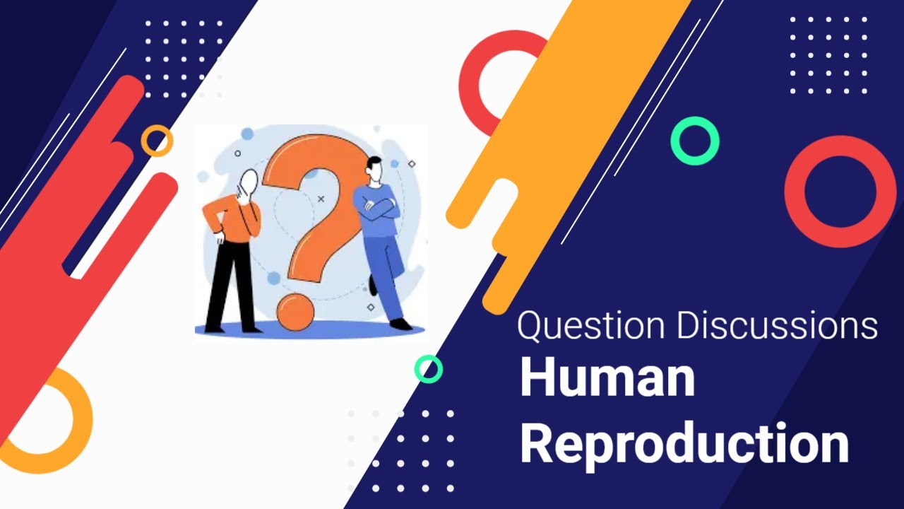 Class 12 - Chapter 3 Human Reproduction - Question discussion ...