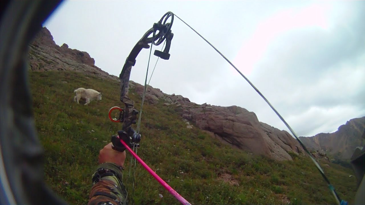 Colorado Archery Mountain Goat Stalk and kill.wmv - YouTube