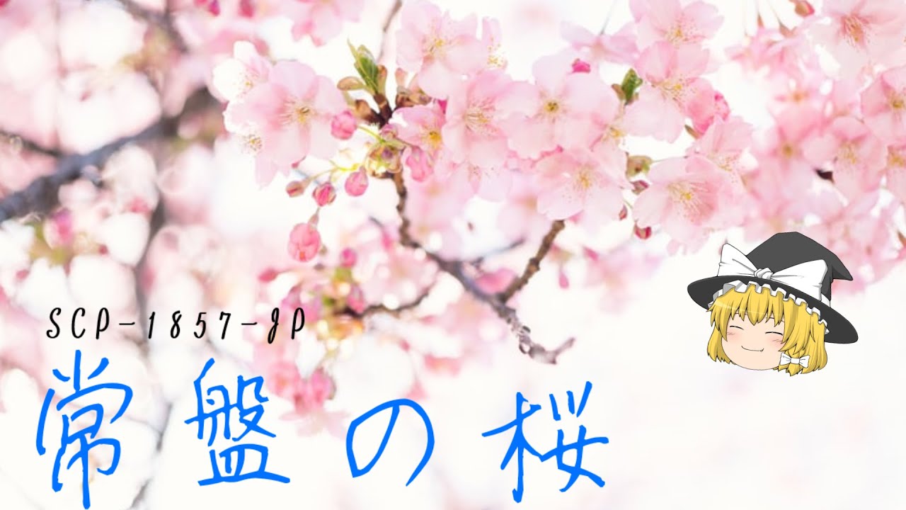 【ゆっくり解説】SCP-1857-JP 常盤の桜 - YouTube