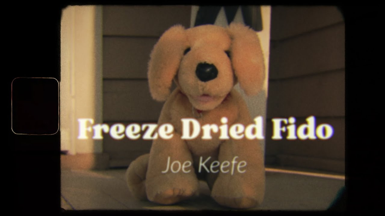 FREEZE DRIED FIDO | Comedy Music Video (Song by Joe Keefe) - YouTube