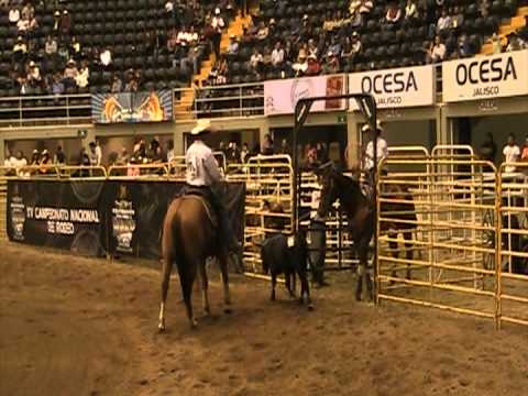 Lazo por parejas. Campeonato Nacional de Rodeo FMR 2011. www.caballo.tv ...
