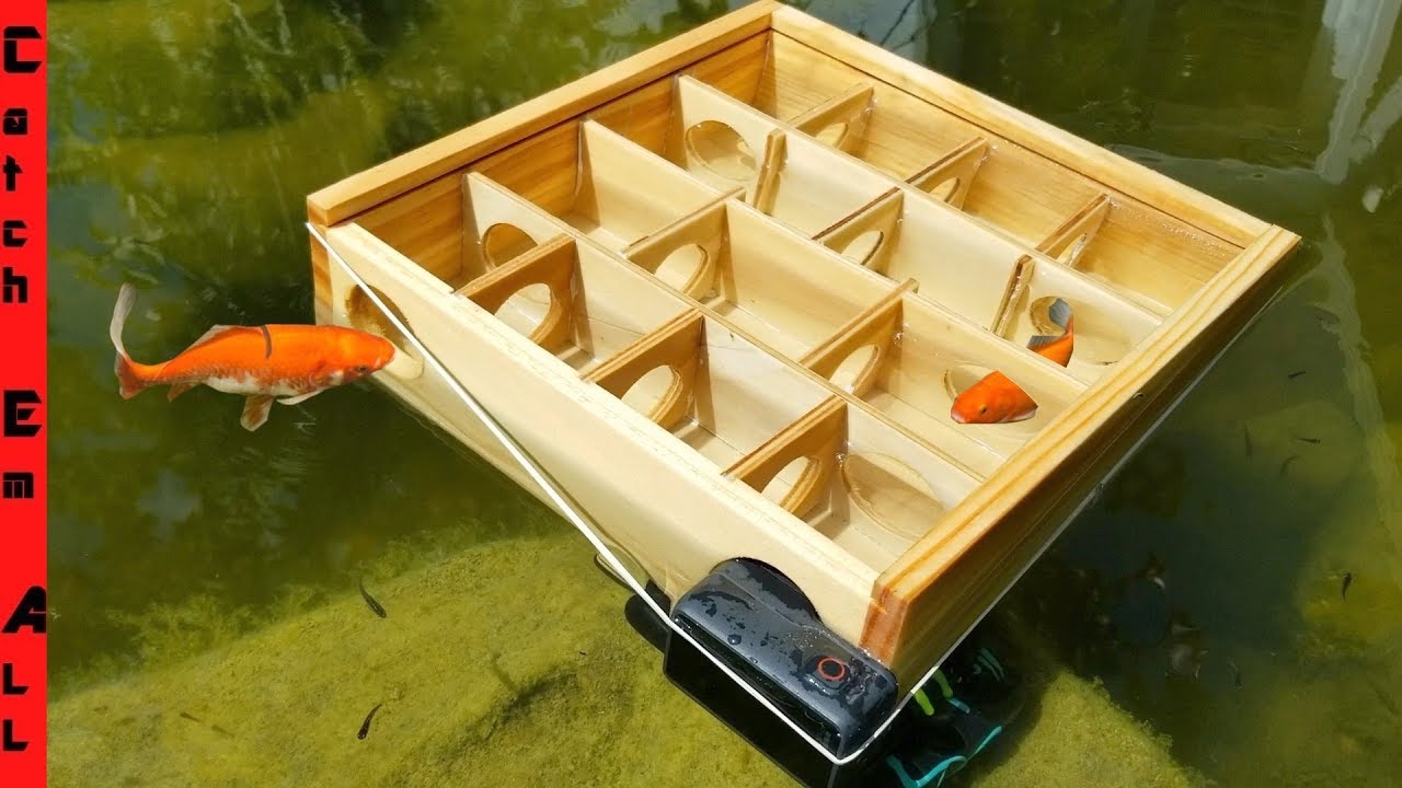 Gopro FISH MAZE! - YouTube