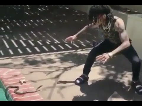 Swae Lee Catches A Venomous Snake Swimming In His Pool - YouTube