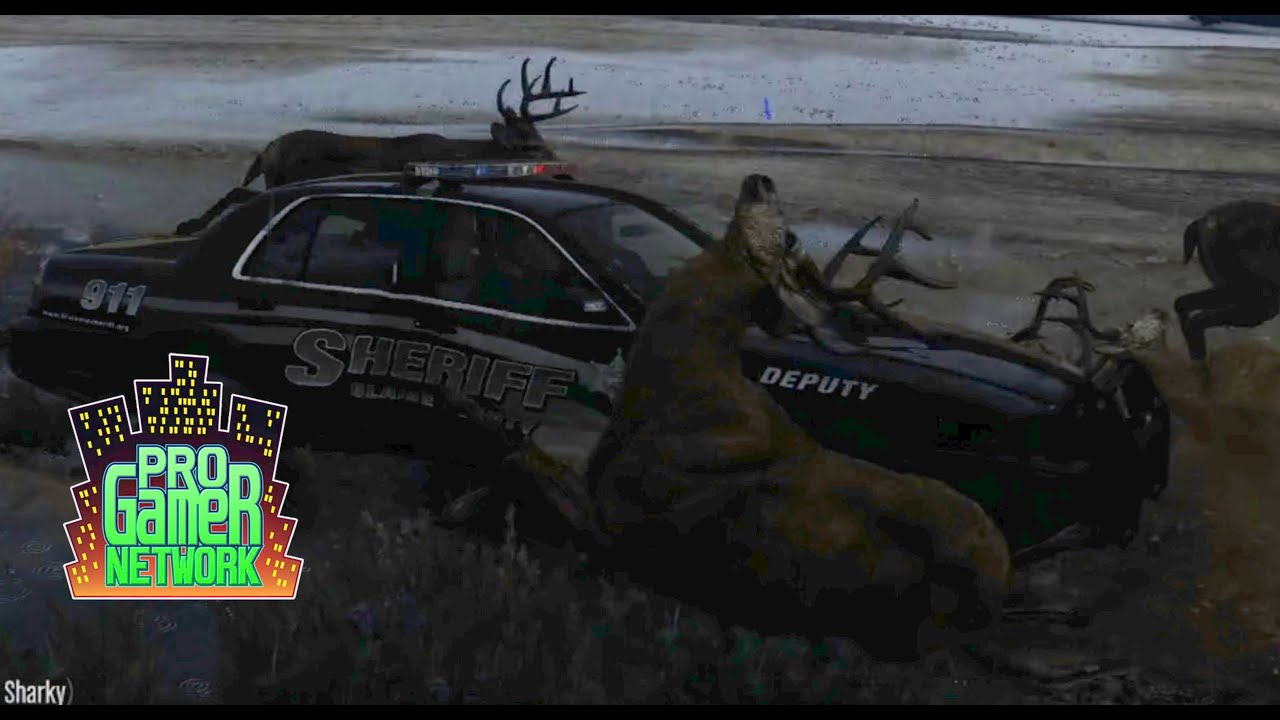 Attack of the deer - PGN FiveM - YouTube