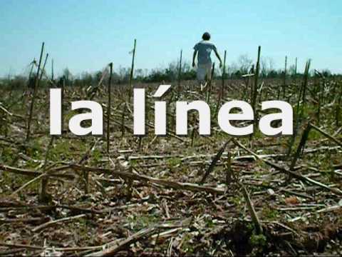 La Línea: The Trailer - YouTube