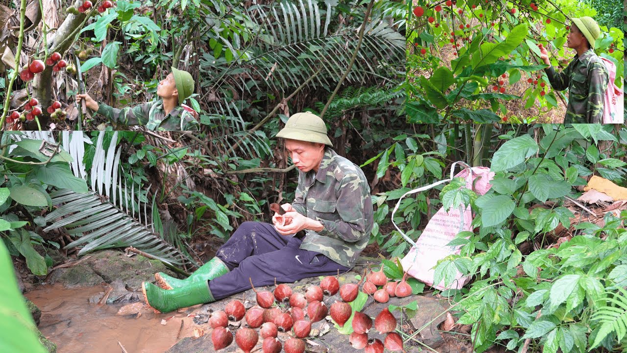 Hunting for wild fruits – Chasing stream crabs, A day in the deep wild ...