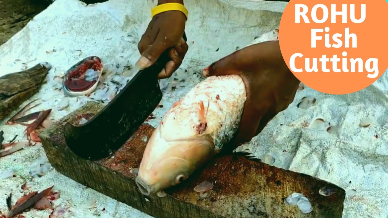 Rohu Fish Skinning And Chopping in a Fish Market | Fishy Fish - YouTube