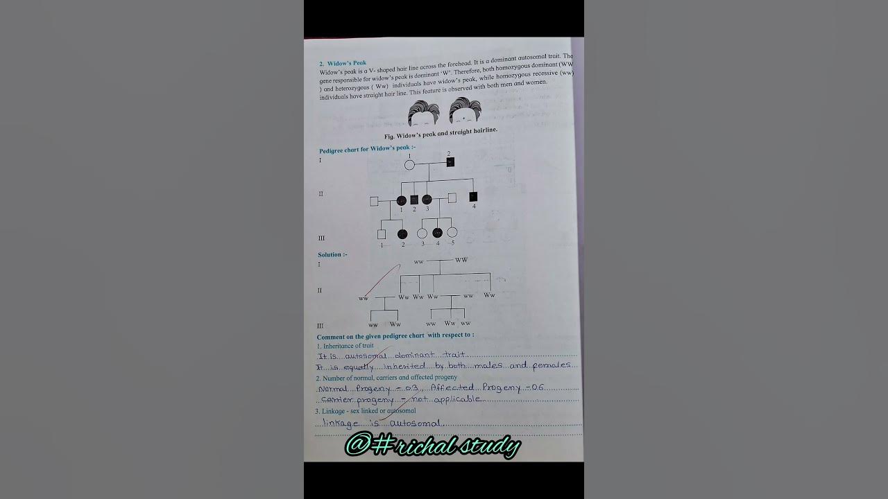 Class 12 Biology practical B Experiment no.10 To study the prepared ...