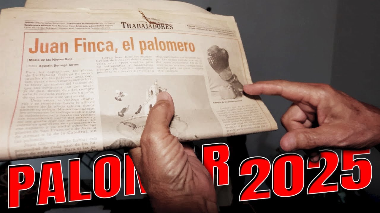 Palomar de Juan Finca donde nació el Buchón Cubano. - YouTube