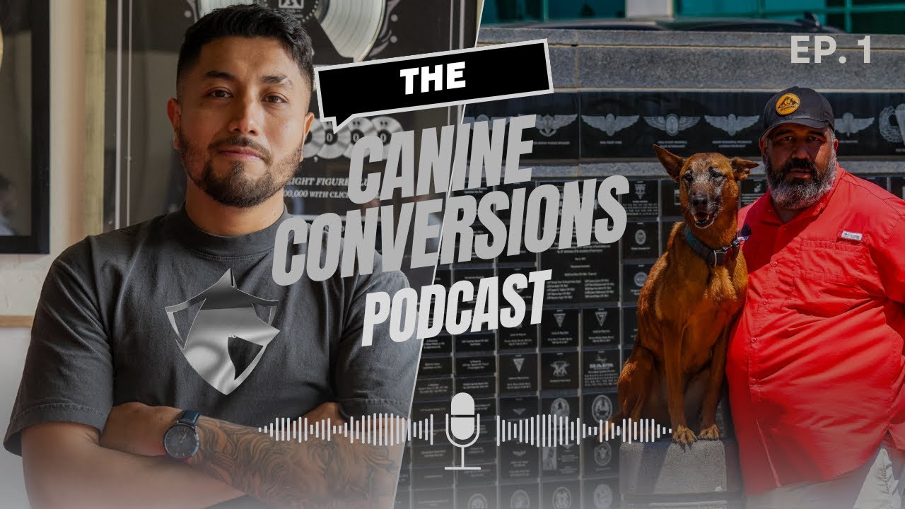 Unleashing Success: Inside the Dog Training Business with Josh Avila ...