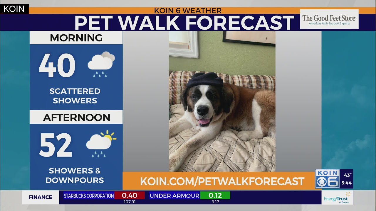 Weather forecast: Portland’s cool, wet weather pattern continues ...