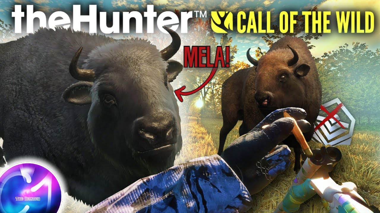 A DREAM TROPHY!! Some INSANE Luck On MULTIPLAYER With The 470 | Call Of ...