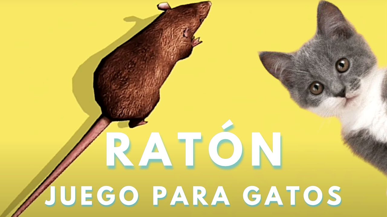 👉JUEGO de RATONES para #gatos 😸 [VIDEOS PARA GATOS] #juegosparagatos - YouTube